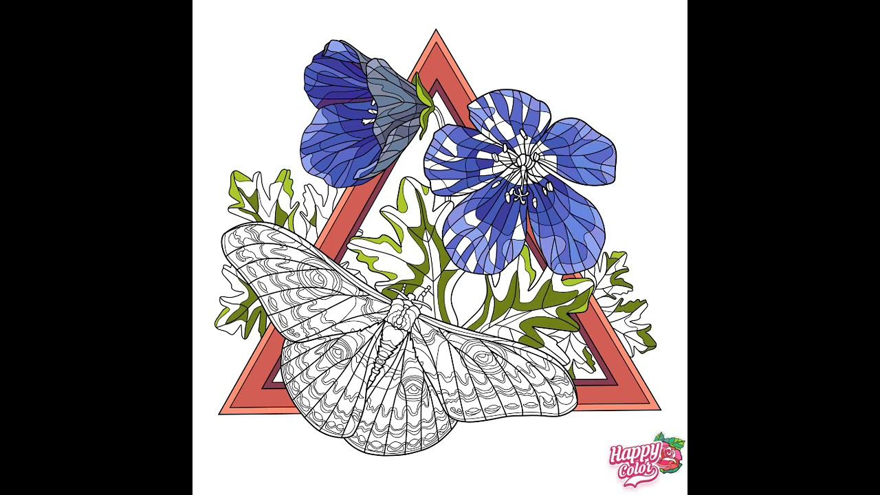 Бабочки 301-310