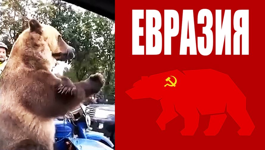 ЭТО РОССИЯ, ДЕТКА 
#СССР #медведь #флешмобZ #новости #животные #RUTUBENews #русские #россия #мишка