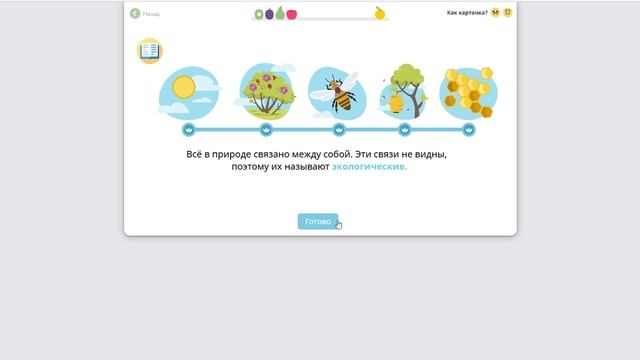 Повторение 3й класс Мир вокруг Экология 3 Что изучает экология