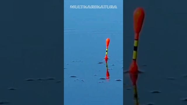 Сравнение.mp4