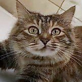 ГРЭЙС ОЧЕНЬ ХОЧЕТ КУШАТЬ!