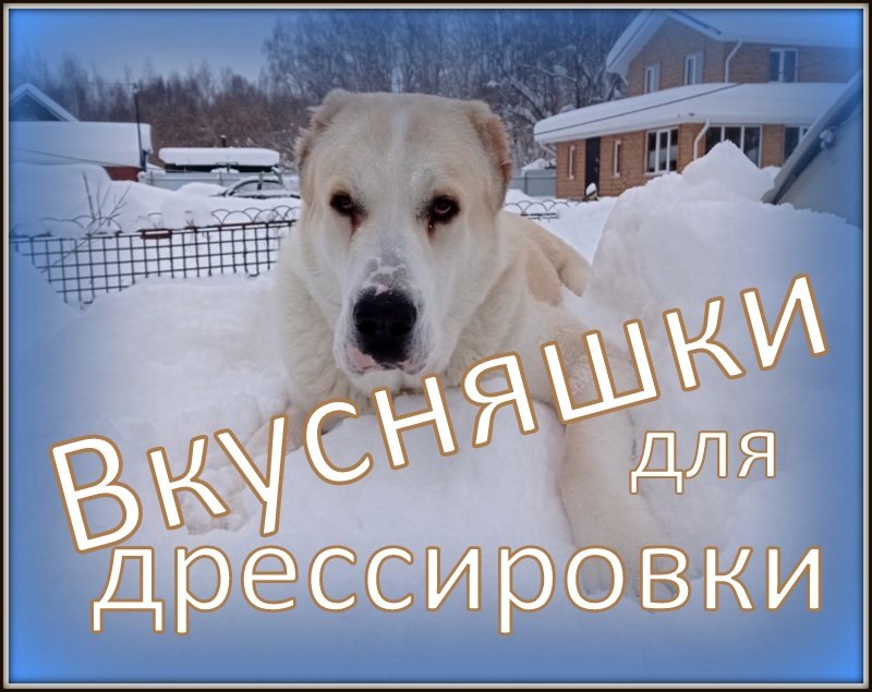 Лакомство для дрессировки