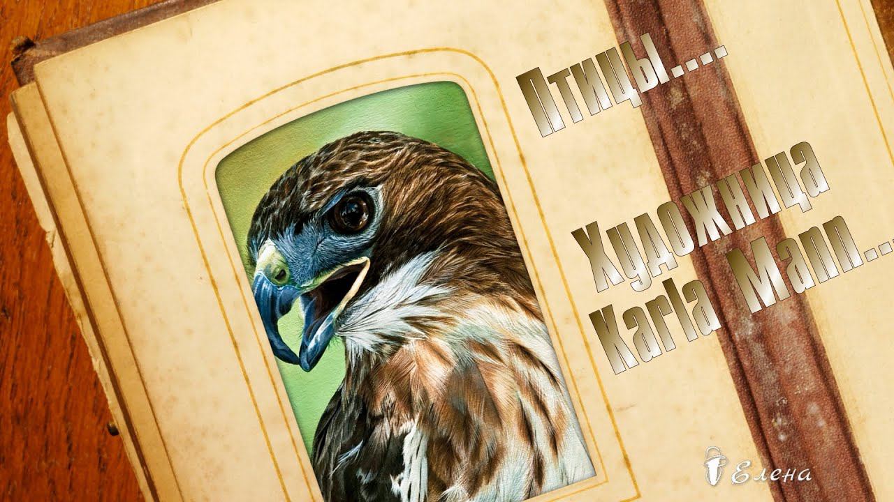 Птицы  *   Художница Karla Mann  * Музыка Елены Анненковой