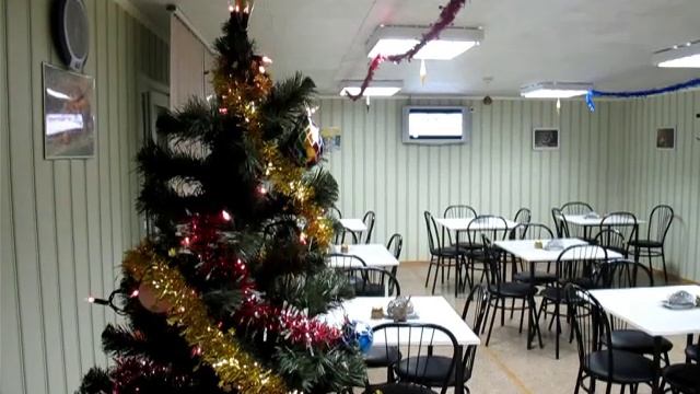 НОВЫЙ 2010 ГОД !