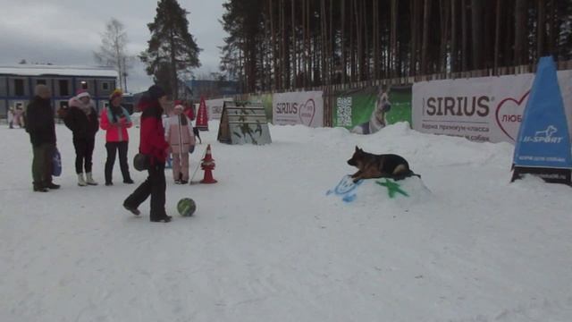 Новогодние Весёлые старты (Собачья Академия, 2022)