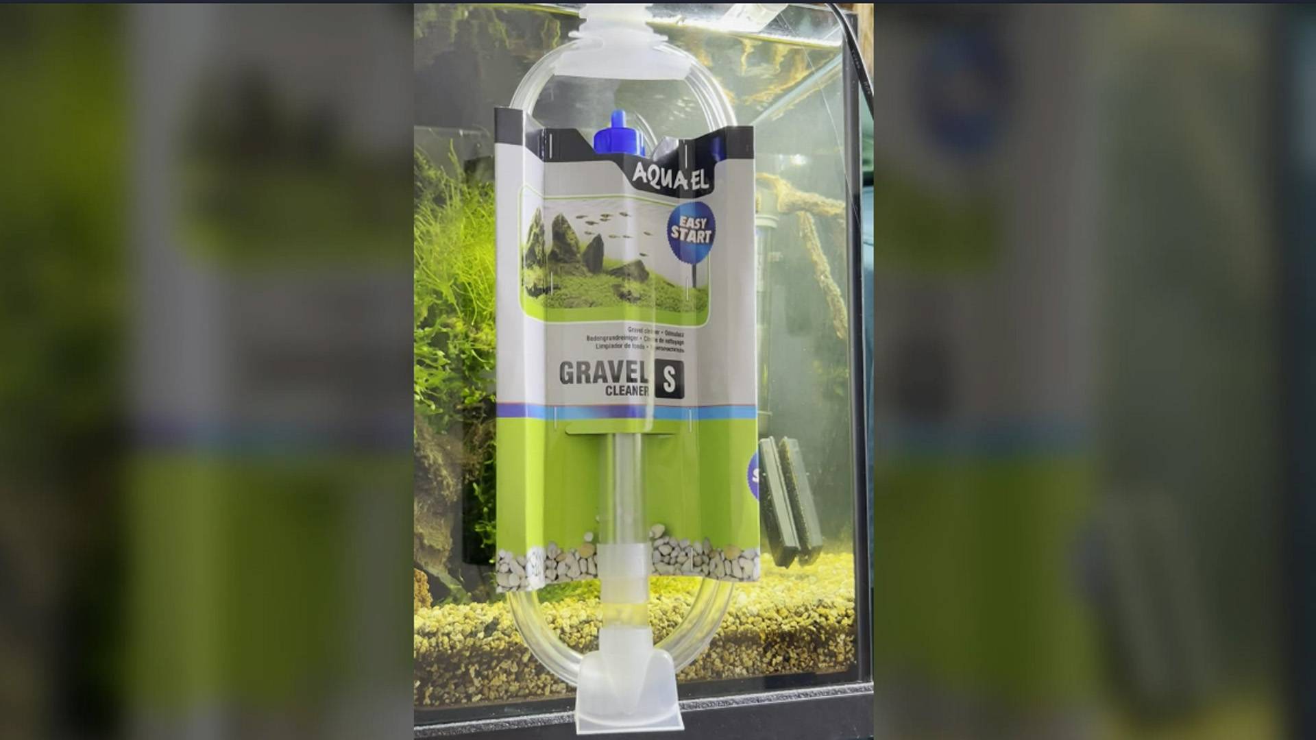 Как почистить грунт в аквариуме с небольшим количеством растений?