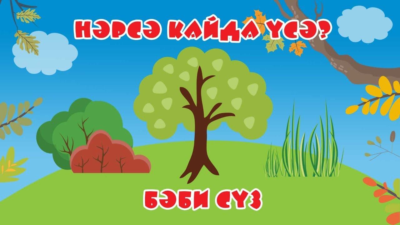 БӘБИ СҮЗ: нәрсә кайда үсә / Изучаем новые слова с малышами / Татар теле