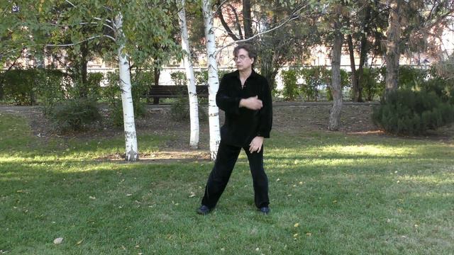 19 Таолу стиля Орлан  и барс- вариант