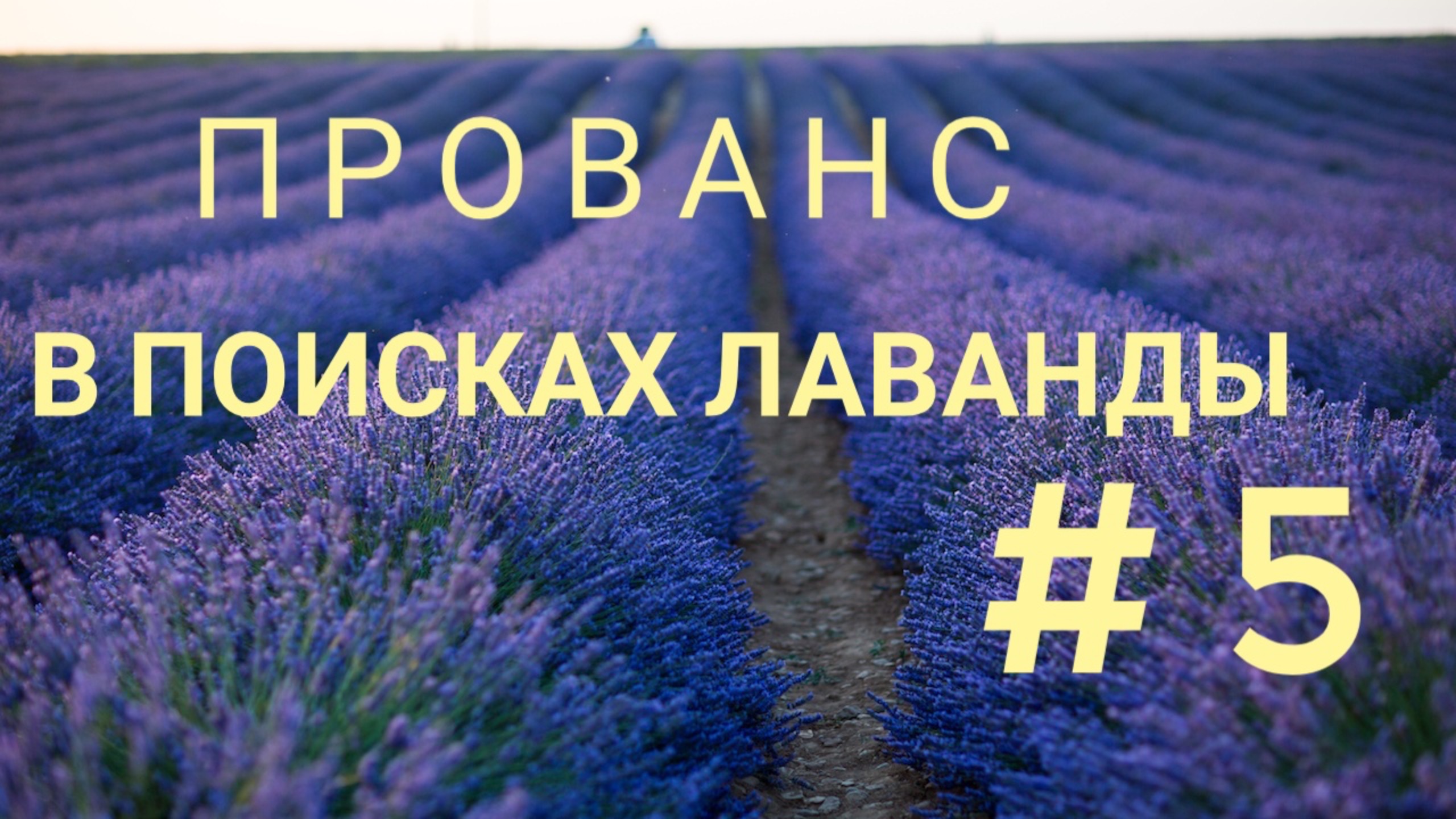Французский Прованс. В поисках лаванды часть 5