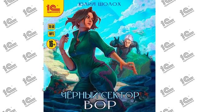 Чёрный сектор. Вор (Юлия Шолох). Читает Мария Куликова_demo