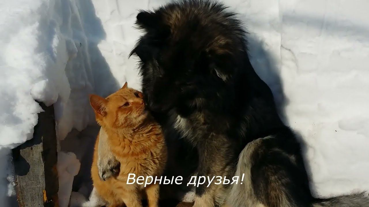 Зимняя сахалинская зарисовка