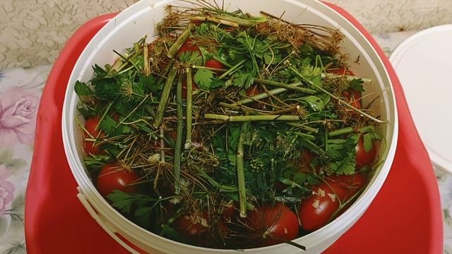 Квашеные томаты. Солёные помидоры.(без уксуса).mp4