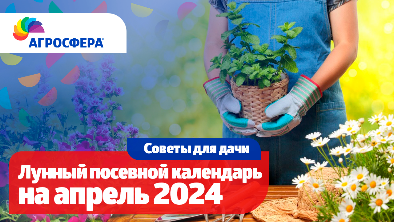 Лунный посевной календарь на апрель 2024, посевной календарь огородника / агросфера.рф