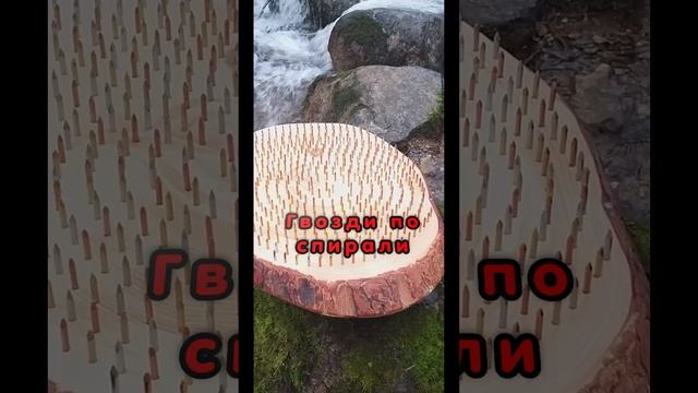 #доскасадху с гвоздями из трёх металлов