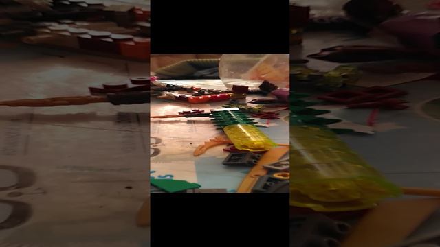 кота защищает человек