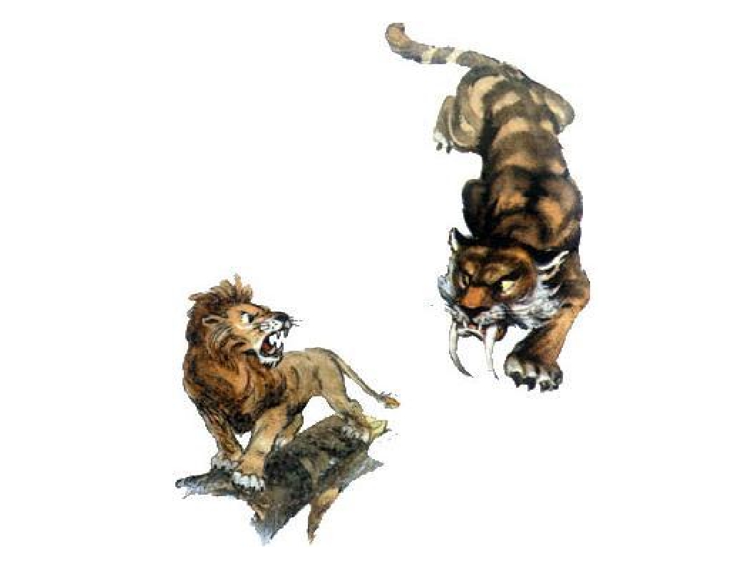 07 А.Волков. Волшебник изумрудного города. Ч.1. Дорога из жёлтого кирпича. Саблезубые тигры