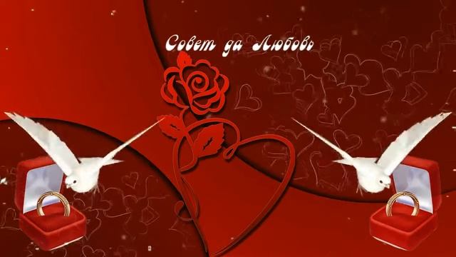 07 С ДНЁМ СВАДЬБЫ