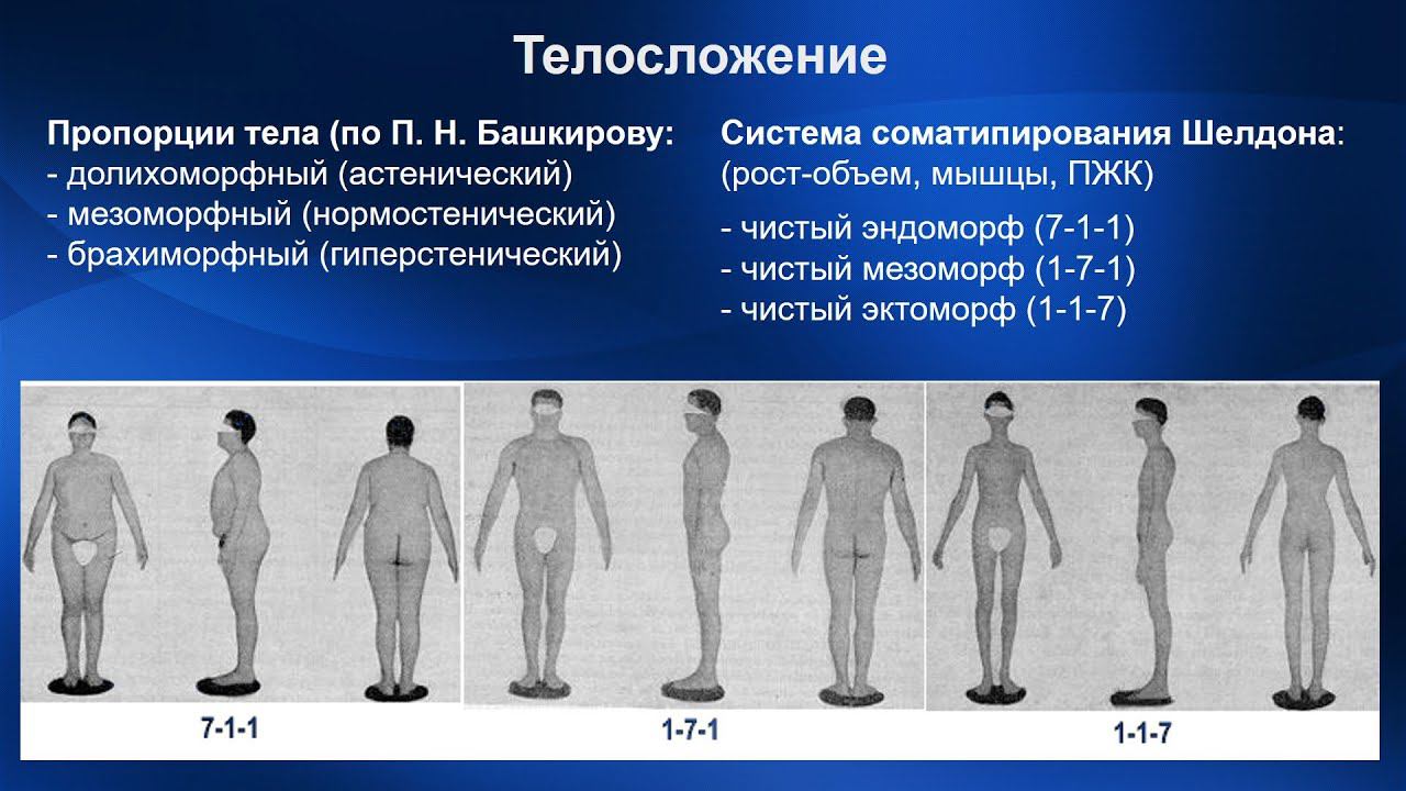 1.19 Дозировка массажа. Сочетание массажа с физиотерапией | Классический массаж. Цикл 1