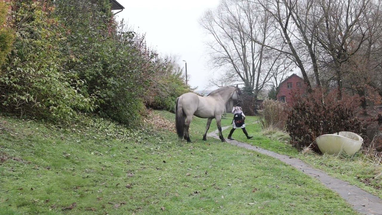 Благовест 1