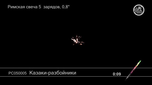 РС050005 Казаки Разбойники