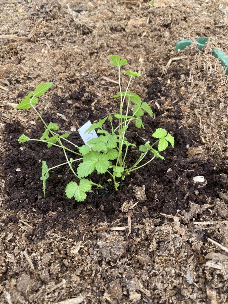 Посадки на 25 апреля. Архив 2024