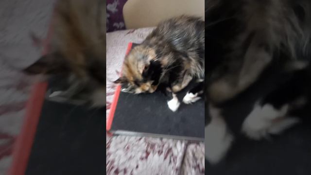 Работа на удаленке😄