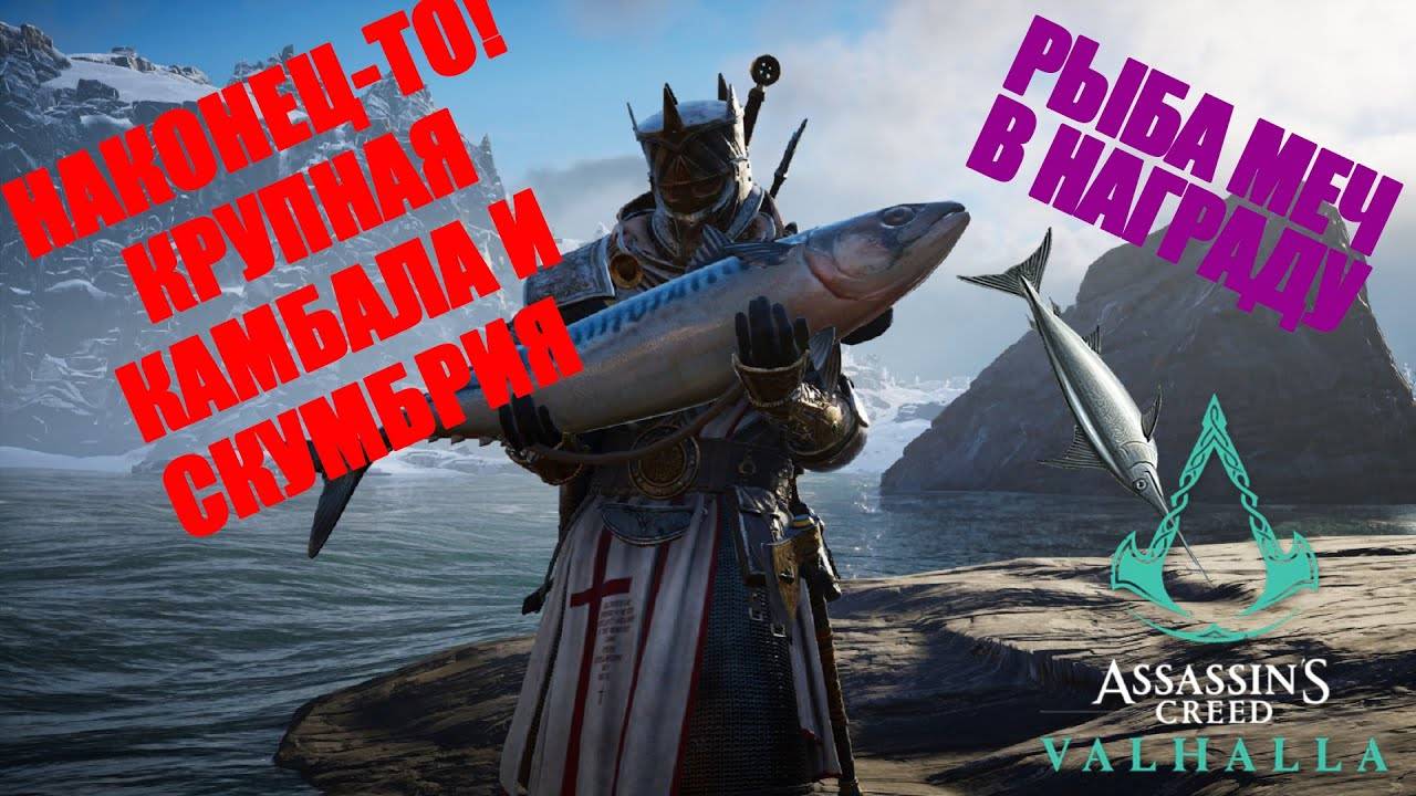 ГДЕ НАЙТИ КРУПНУЮ КАМБАЛУ И СКУМБРИЮ В Assassin's Creed_ Вальгалла!