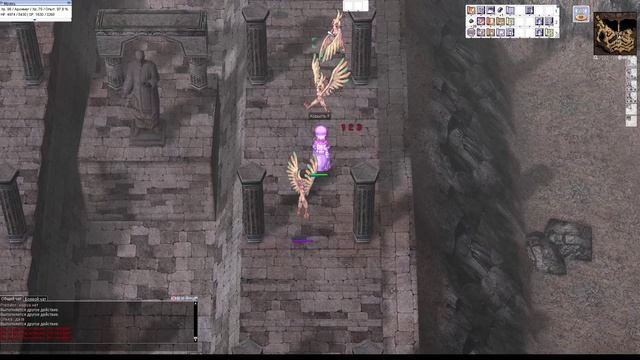 Ragnarok Online. ХВ до 99 на гарпиях.