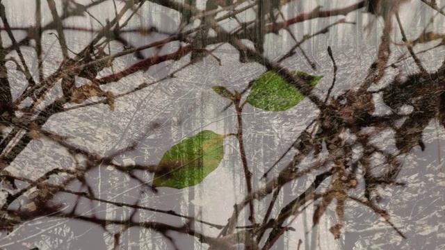 "НОКТЮРН В ЦВЕТЕ"... (Фото-Графика Игоря Груздева (Кострома), музыка Сергея Ляпунова)