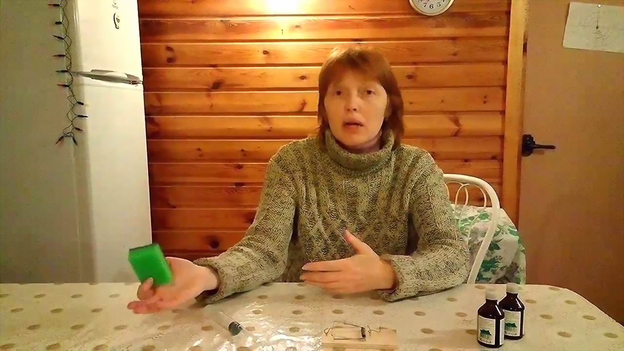 Как избавиться от мышей. Хорошая идея.