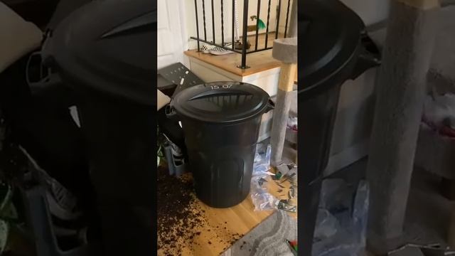 Это не специально, но...