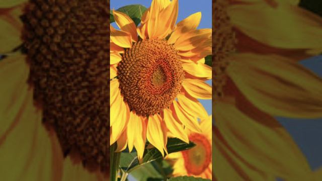 Доброе утро!!!