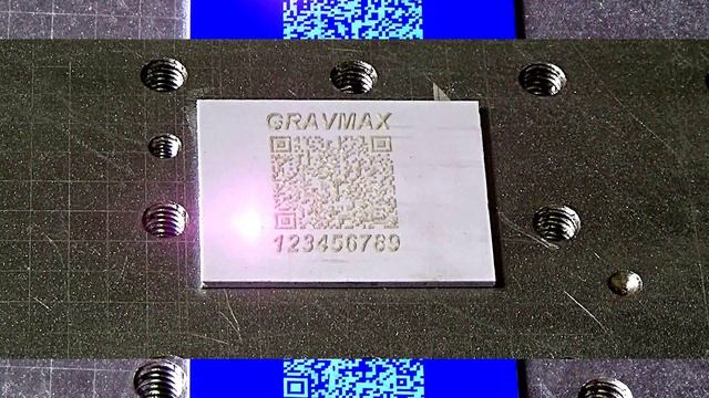 Пластиковые пломбы, ушные бирки маркировка волоконным лазером