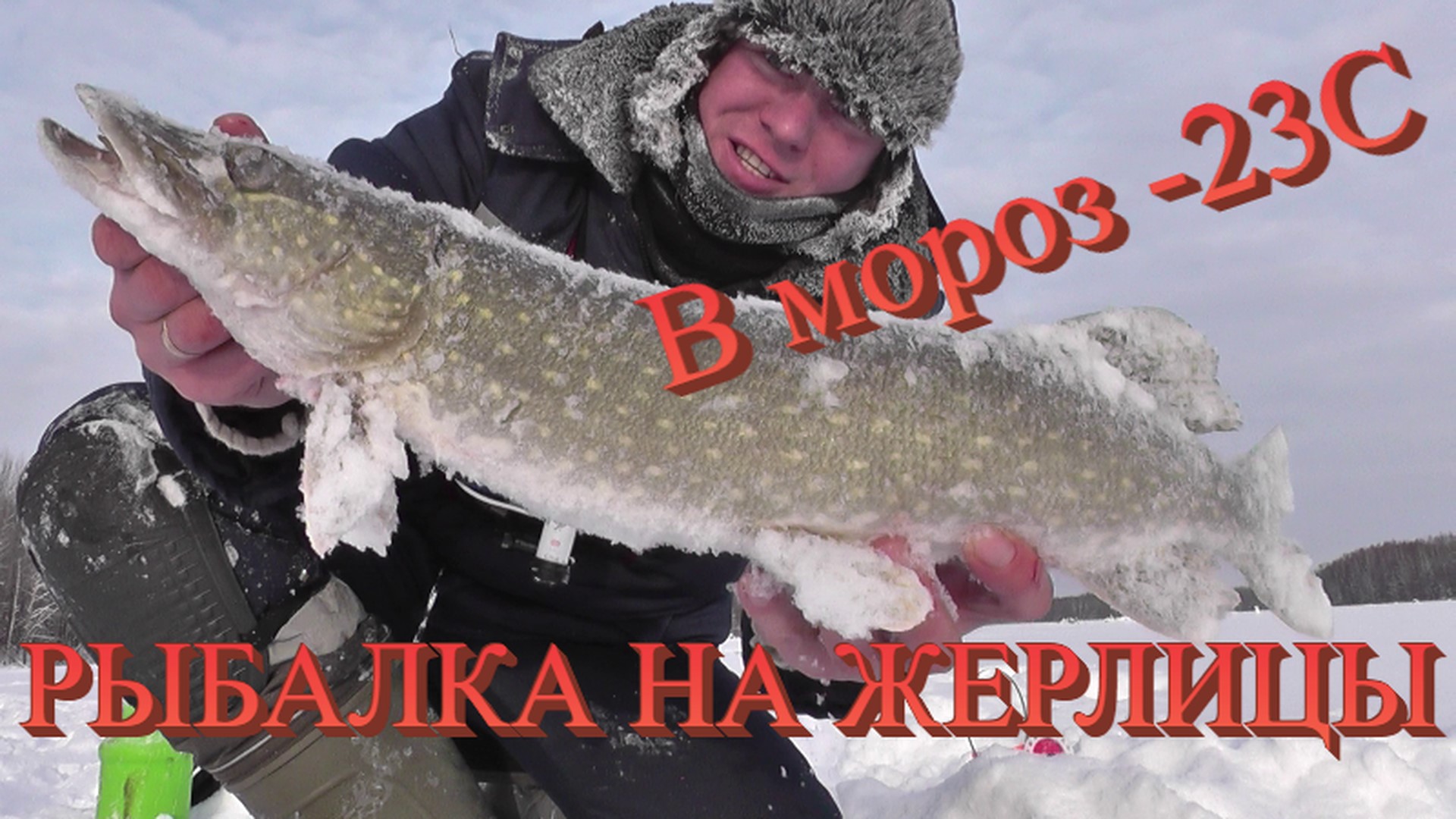 ПОСЛЕДНЯЯ РЫБАЛКА 2021 ГОДА. РЫБАЛКА НА ЖЕРЛИЦЫ #Волжанин_рыбалка #жерлицы