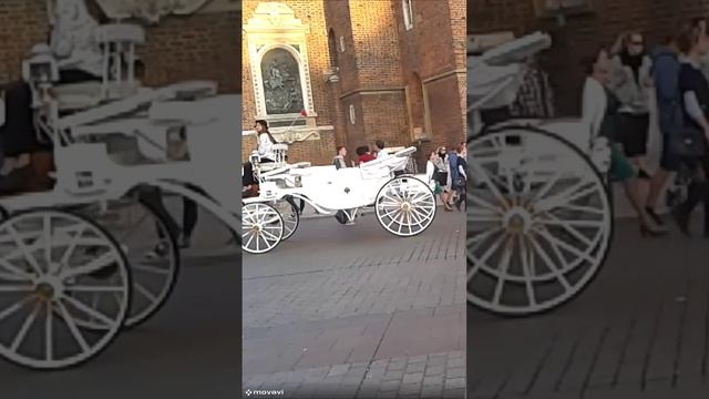 дорожки- Краковские кареты