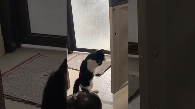 02-03-2024 подготовка к бою