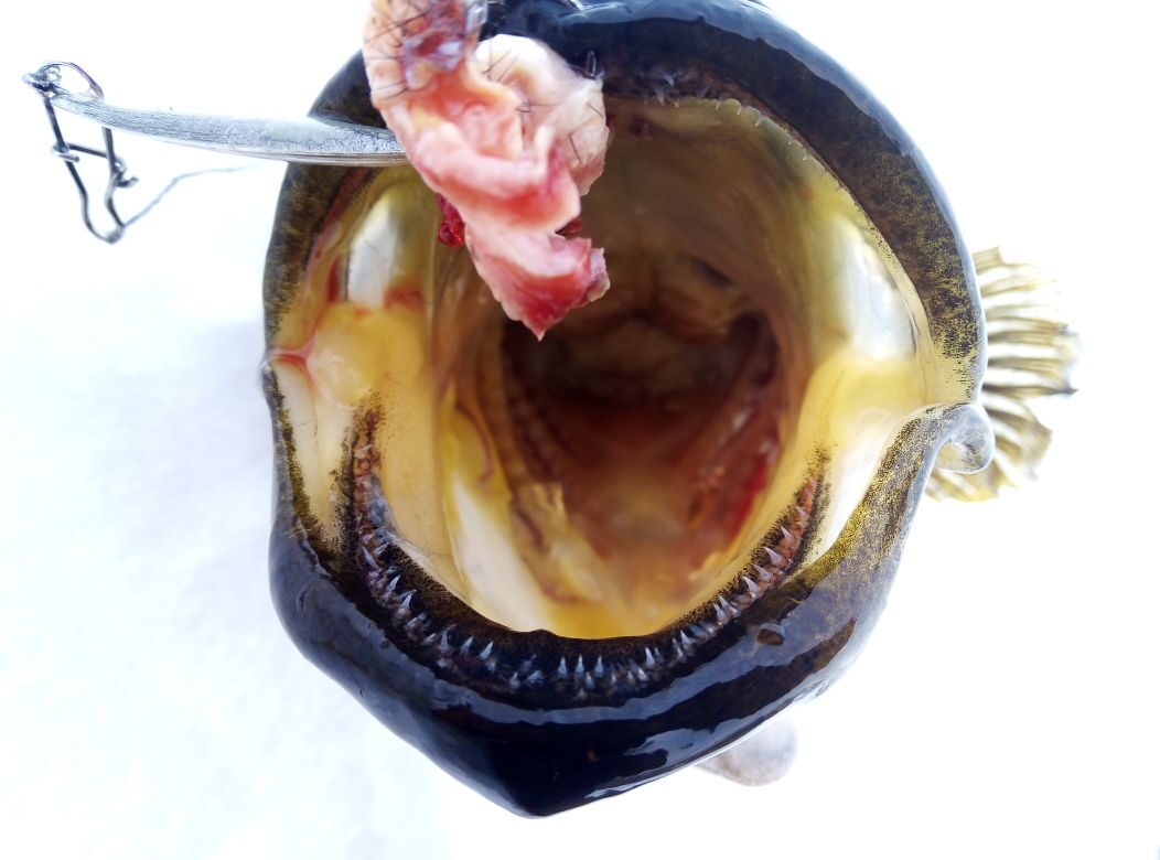 Ловля ротана ночью. Пробный выезд в этом сезоне.