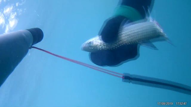 В глаз пополам и на шампур