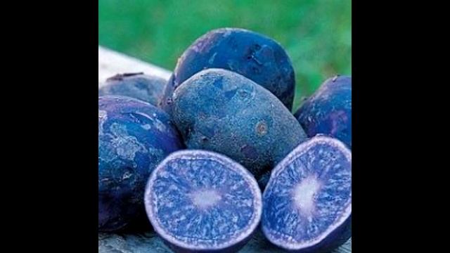 Активация 6 чакры. Аджна. Цветотерапия