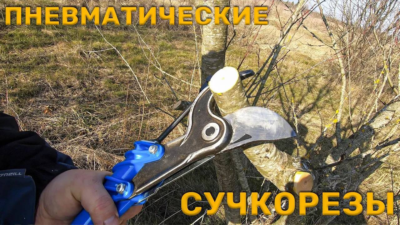 Пневматические сучкорезы