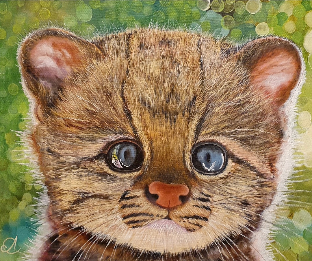 Как нарисовать кошку