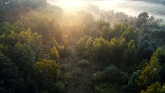 Солнечным утром Прекрасная расслабляющая музыка • Умиротворяющая фортепианная музыка и гитарная музы