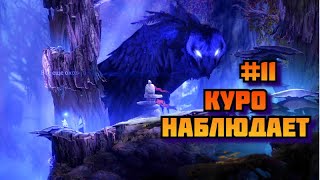 ➤ КУРО НАБЛЮДАЕТ ➤ Ori and the Blind Forest. Прохождение игры на пк на Русском #11