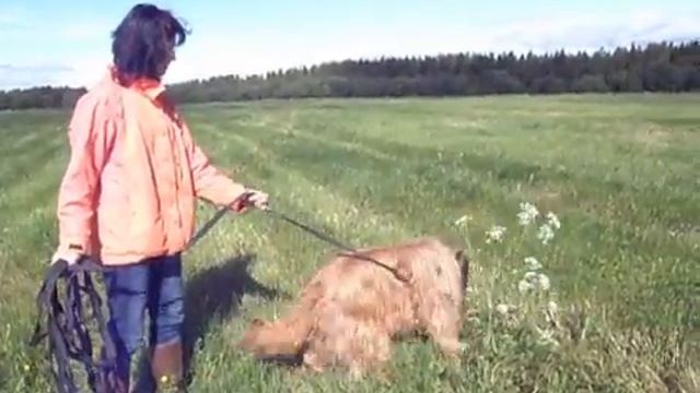 Monika - tracking 10.07.10