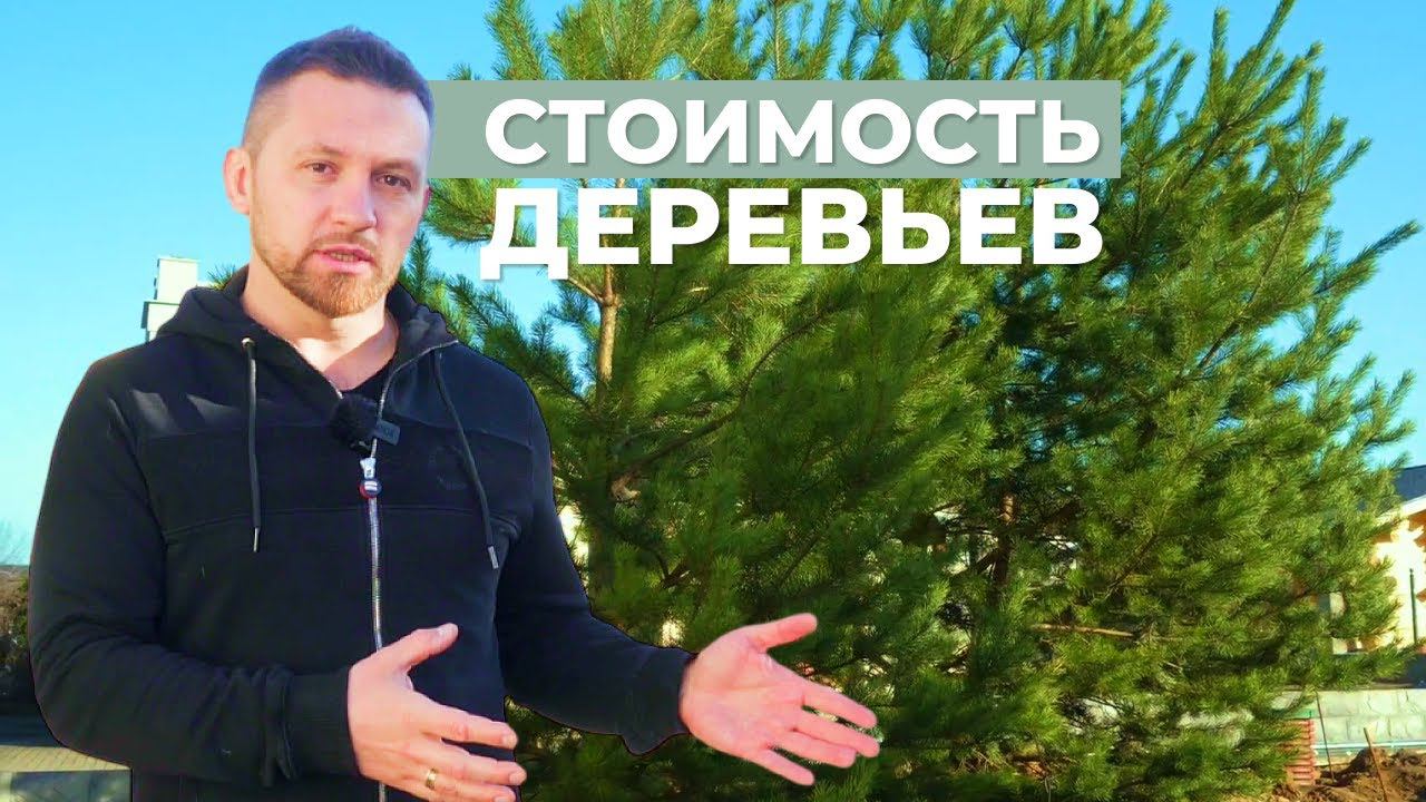 Крупномеры: правила выбора #крупномеры