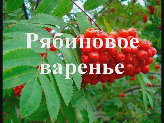 Календарь дачника. Сентябрь - Октябрь. Рябиновое варенье. Вкусняшки готовим сами. Ленивые рецепты