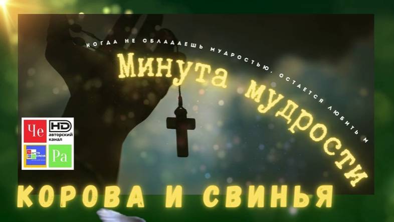 "Минута мудрости" _ Корова и свинья