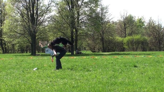 Екатерина и бордер-колли Квинт.mp4