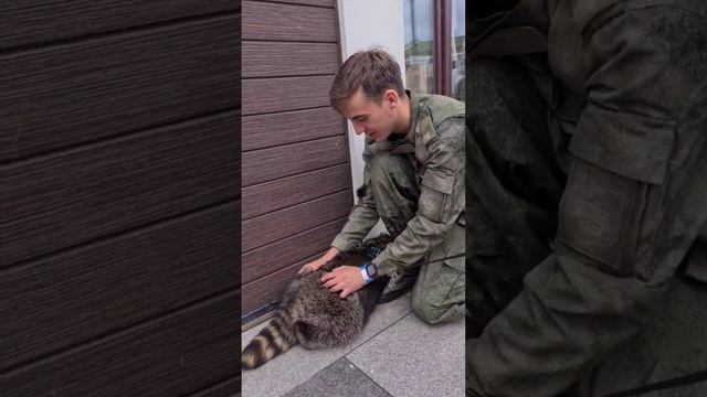 еноту Вите сделали массаж #shorts