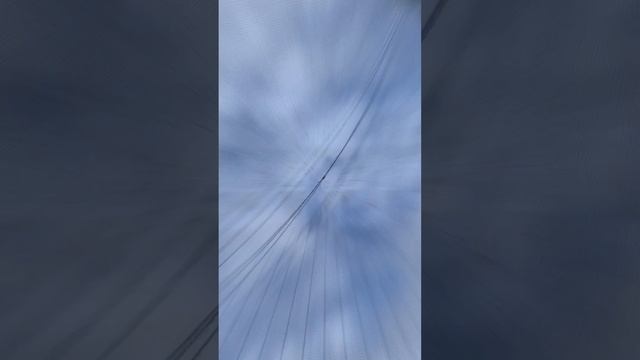 Новый год ломает всё🎄